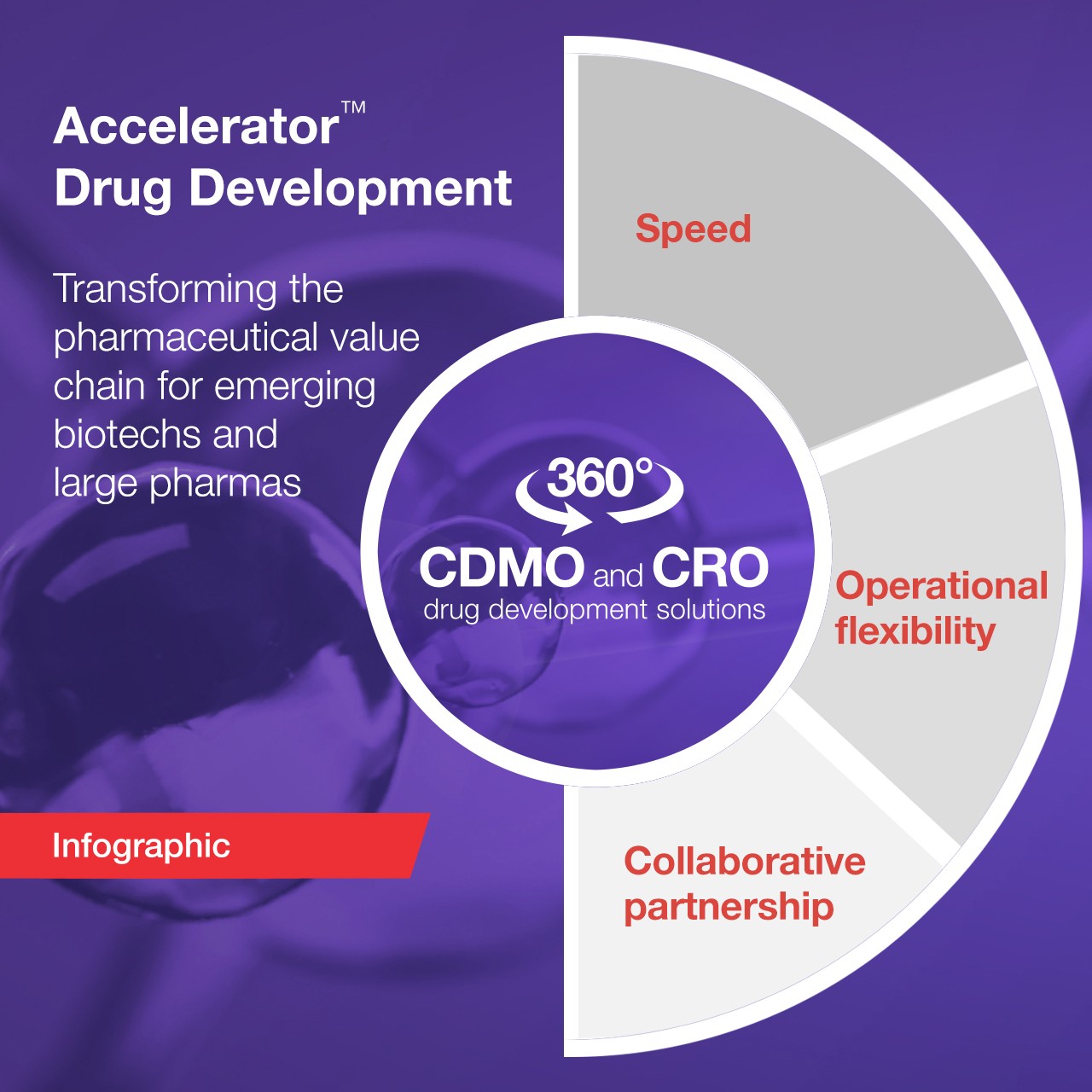 통합 CRO/CDMO 서비스를 통한 의약품 출시 기간 단축 - Patheon pharma services